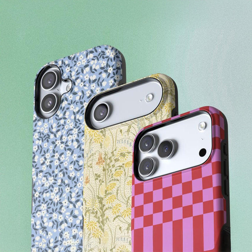 iPhone 17 Cases